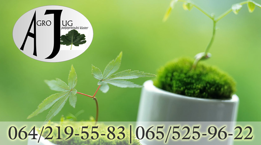 Prodaja sadnica,Vocne sadnice, Poljoprivredni Klaster Agro Jug